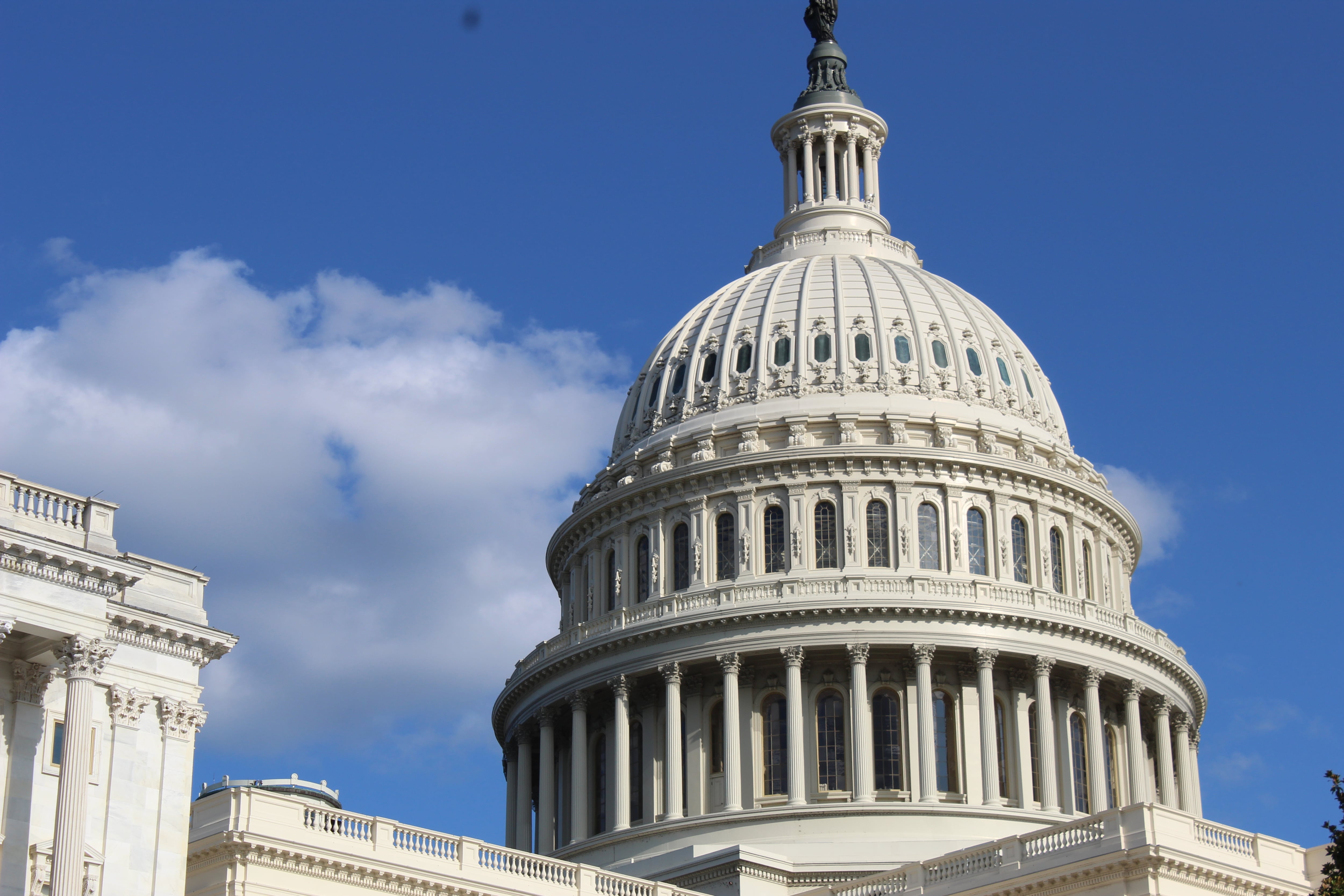 Sen. Bill Cassidy (R-La.) requests records of Columbia first-year math ...